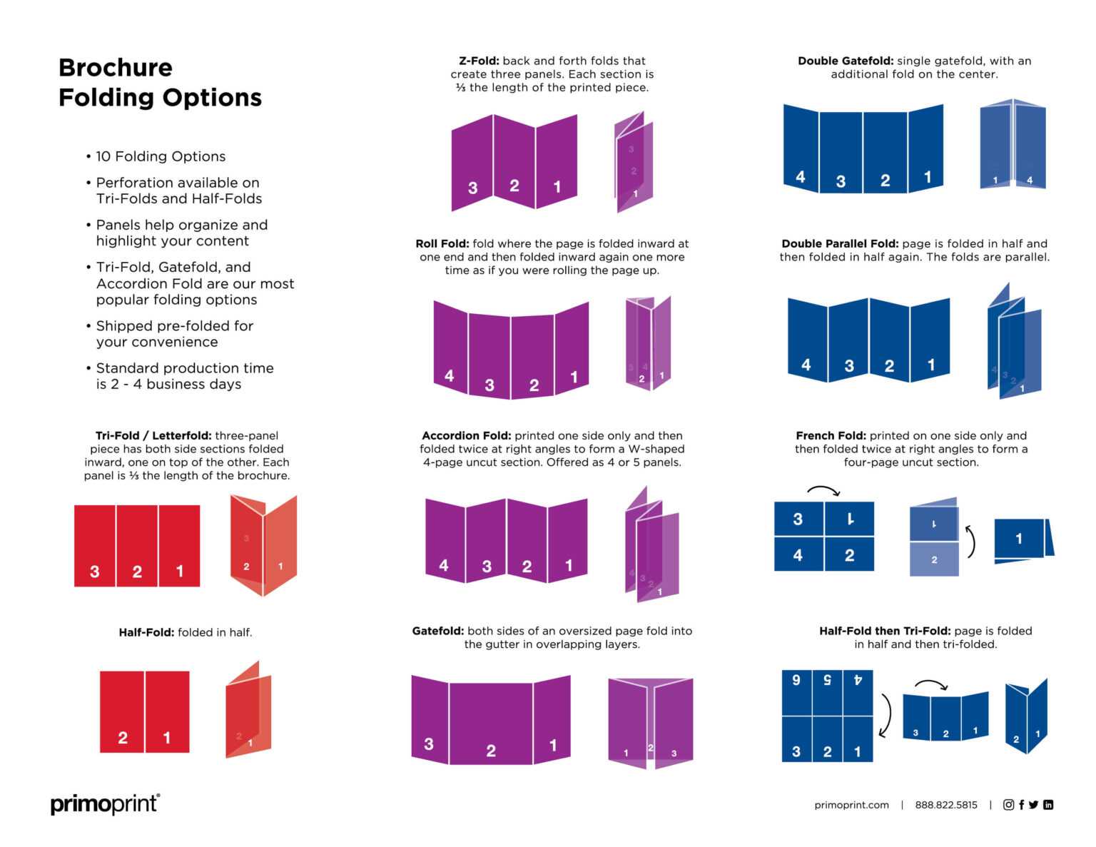 Brochure Fold Calep midnightpig co With Regard To 6 Sided Brochure 